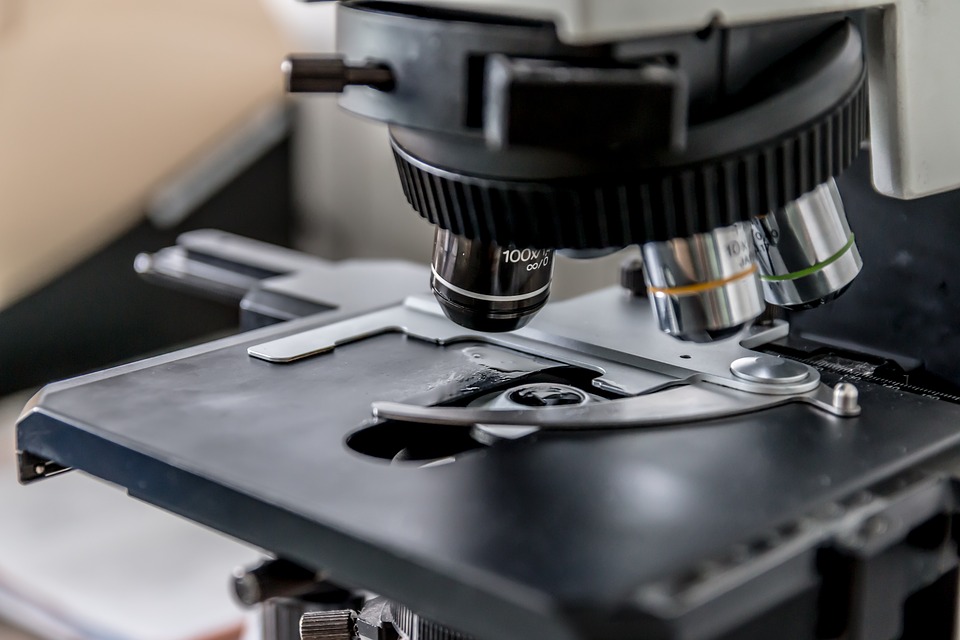 Google Scholar vs other AI search tools – how and when to use each – Access