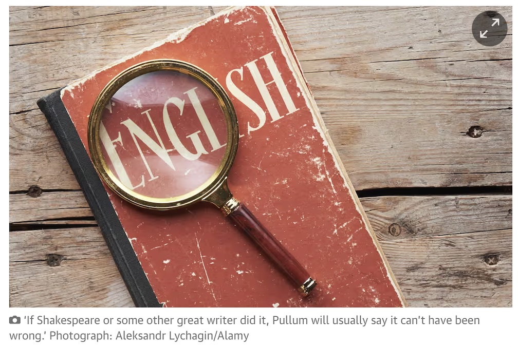 The truth about English grammar by Geoffrey K Pullum review – the pants ...